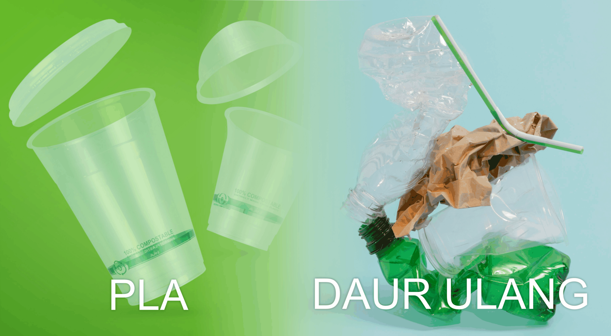 PLA vs Plastik Daur Ulang? Mana yang Lebih Eco-Friendly? - Avani